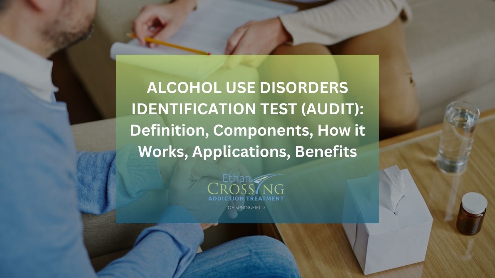 Alcohol Use Disorders Identification Test (AUDIT): Definition ...