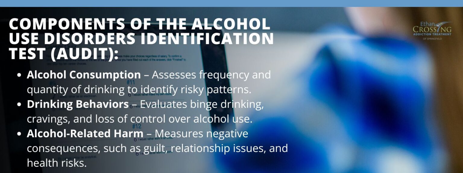 Alcohol Use Disorders Identification Test (AUDIT): Definition ...